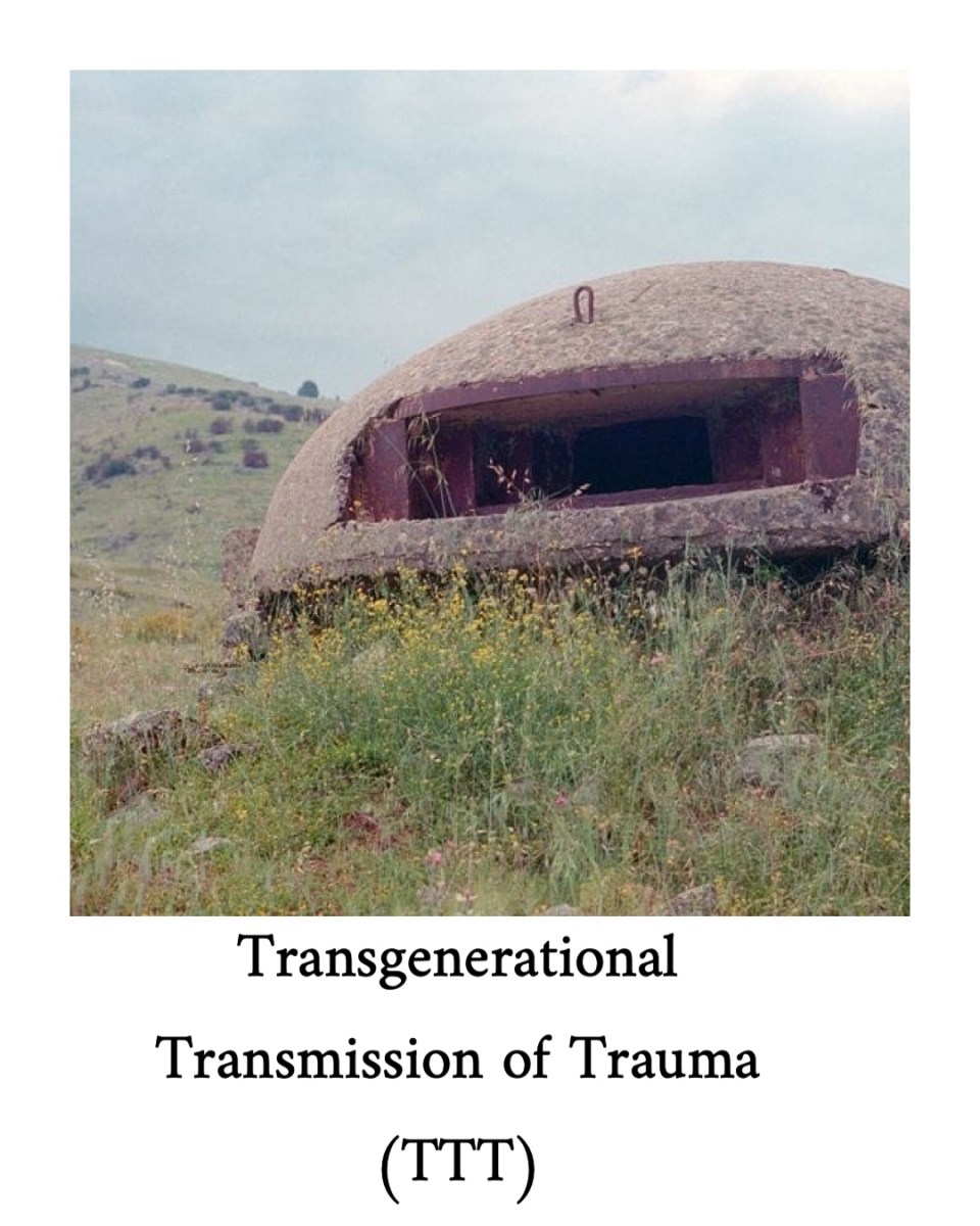 Transgenerational Transmission of Trauma. – Psychoanalysis in Vienna